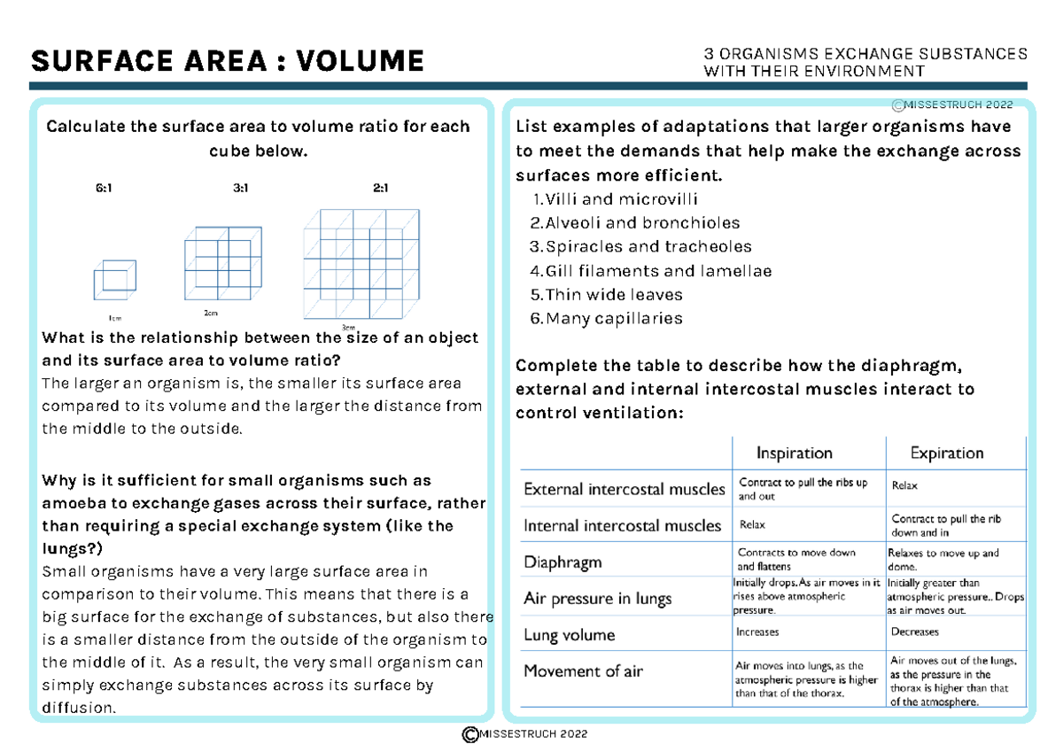 substances with their environment workbook - SURFACE AREA : VOLUME ...