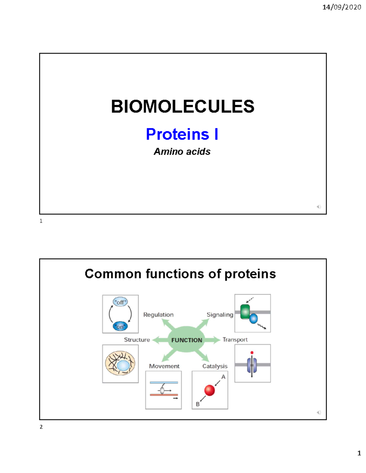 BIO211 -Lec 06 - Biomolecules - Proteins I - BIOMOLECULES Proteins I Amino acids Common ...