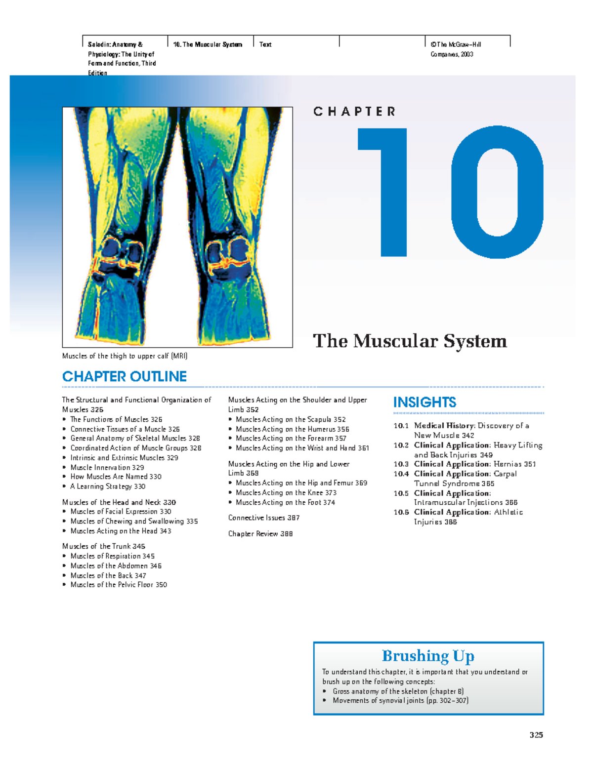 Muscular tissue chapter 10 Saladin - Physiology: The Unity of Form and ...