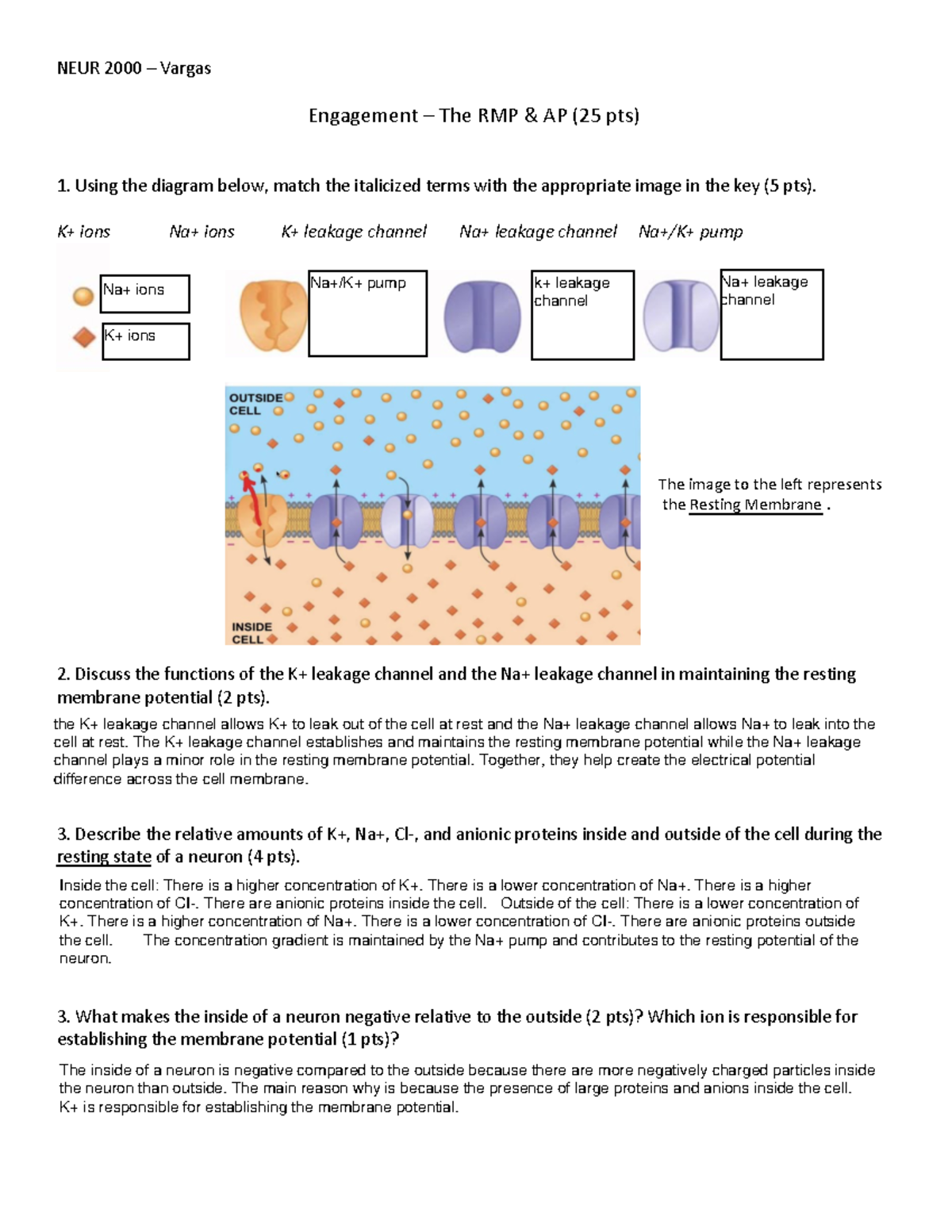 E2W - nonono - NEUR 2000 – Vargas Engagement – The RMP & AP (25 pts) 1 ...