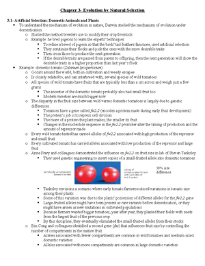 CH 2 Textbook Notes - CH 2 : The Pattern Of Evolution Human beings, as ...