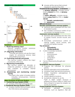 Anaphy Chapter 7 Muscular System - MUSCULAR SYSTEM Functions Muscles ...