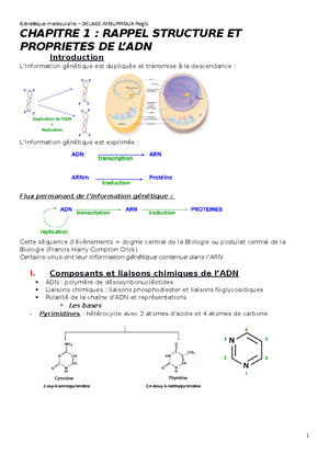 Chapitre 5 - La synthèse des protéines - CHAPITRE 5 : LA SYNTHESE DES ...