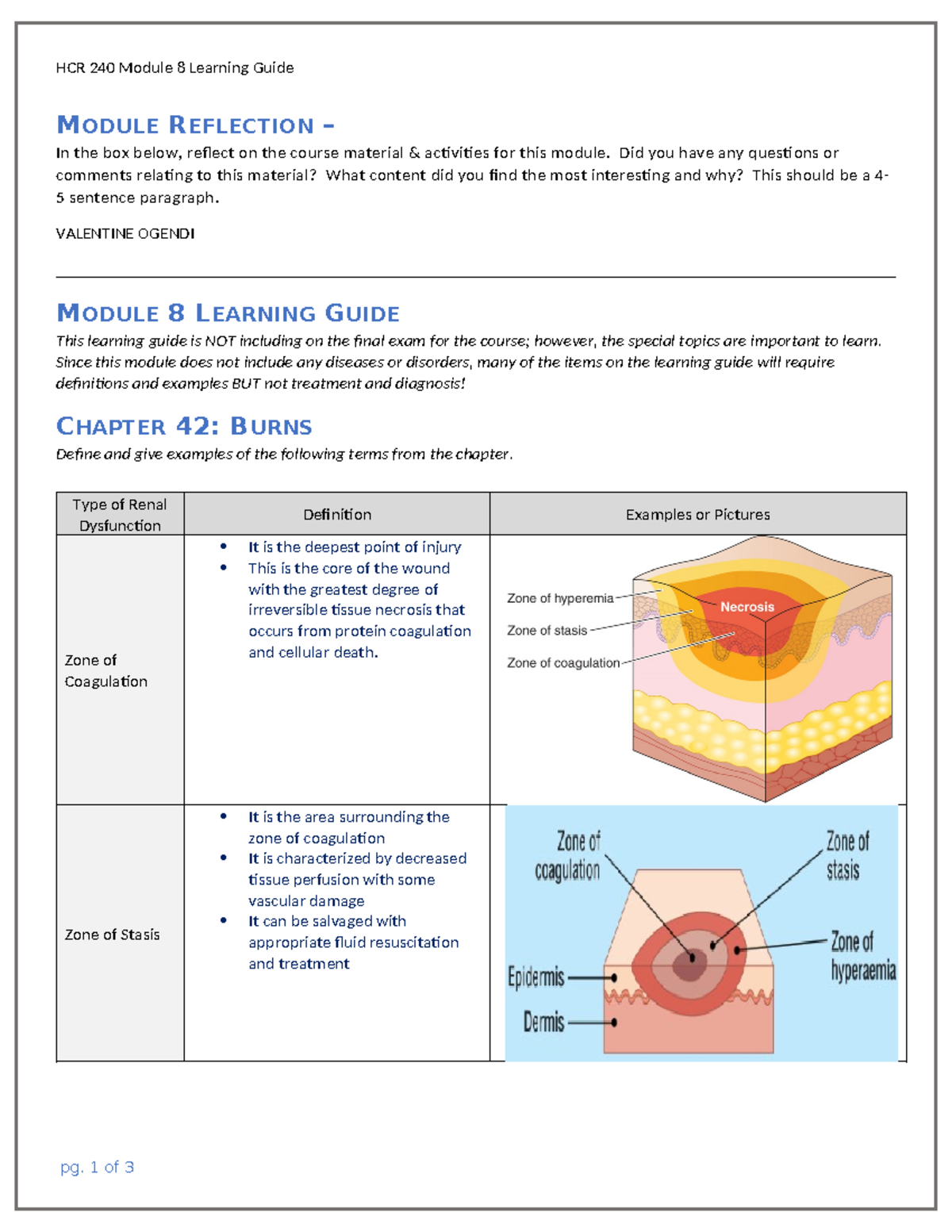 HCR 240 Module 8 Learning Guide - MODULE REFLECTION – In the box below ...