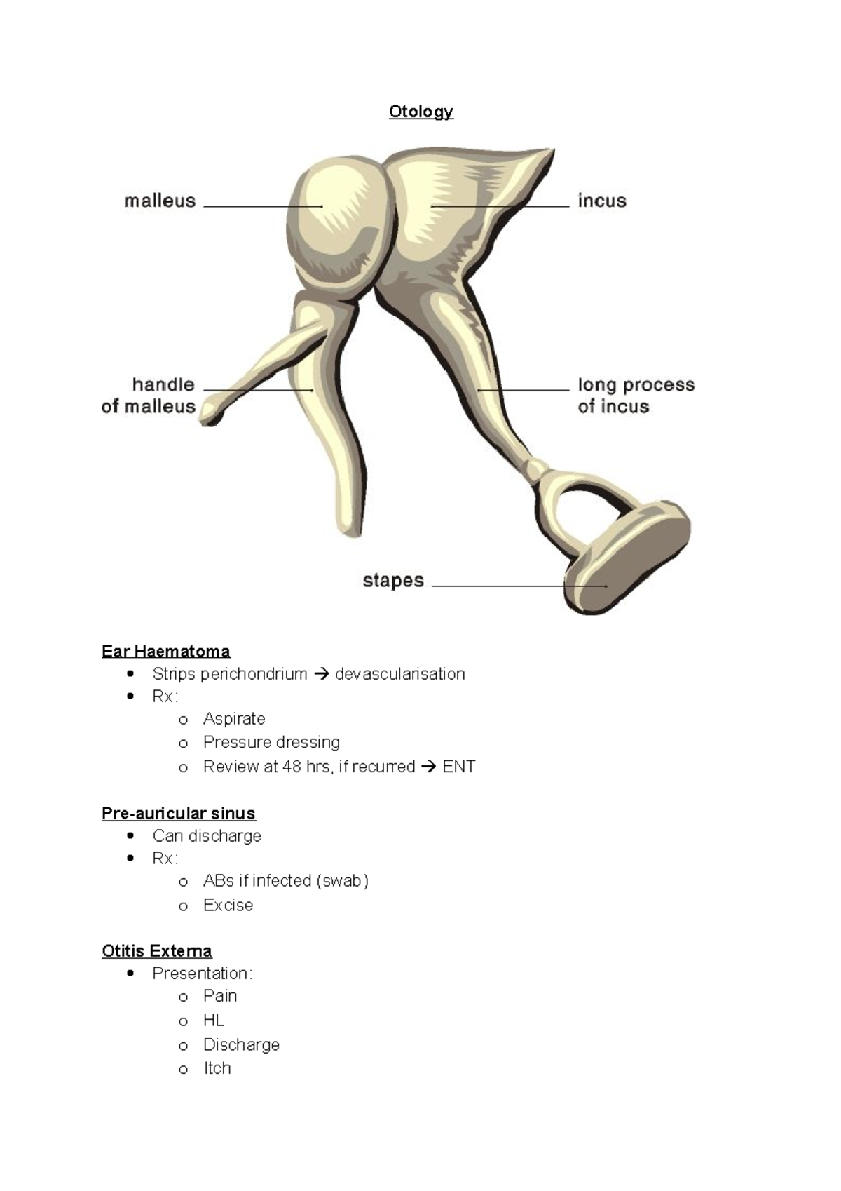 7. Otology - Otology Ear Haematoma Strips perichondrium ...