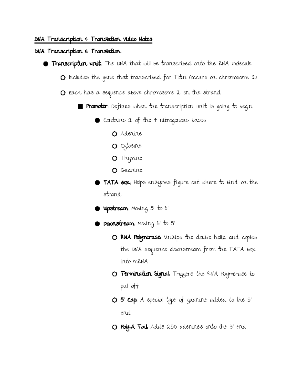 Homework #6 - DNA Transcription & Translation Video Notes DNA ...
