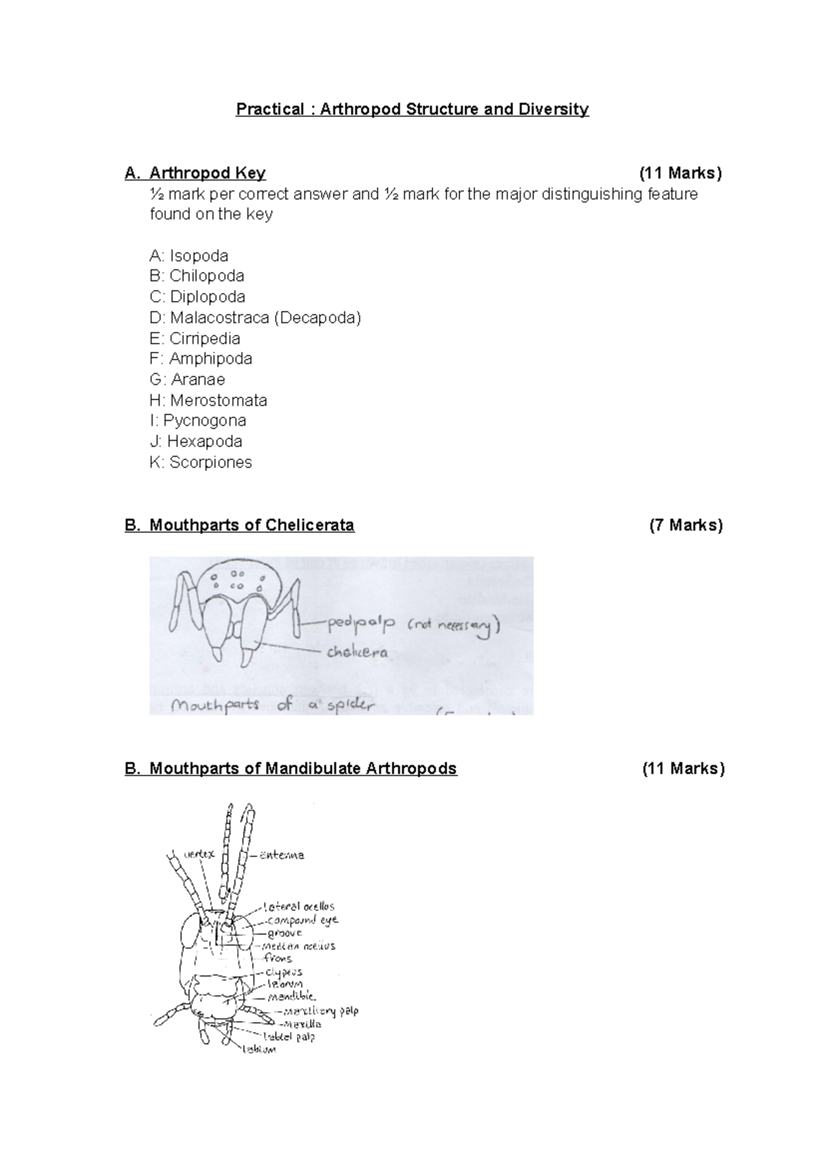 Arthropod MEMO 2023 YB - BIO1004S - Practical : Arthropod Structure and ...