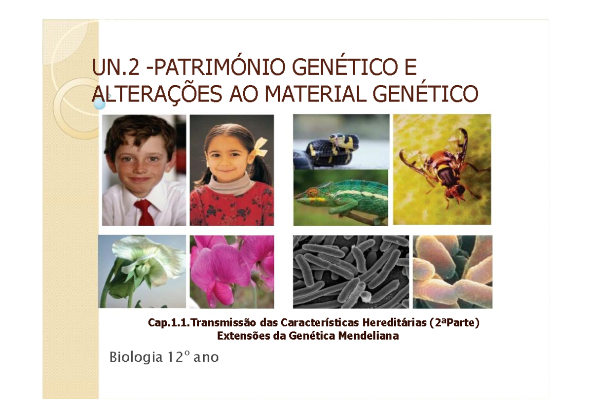 Patrimonio Genetico parte 2 - Biologia Celular - Universidade Lusófona ...