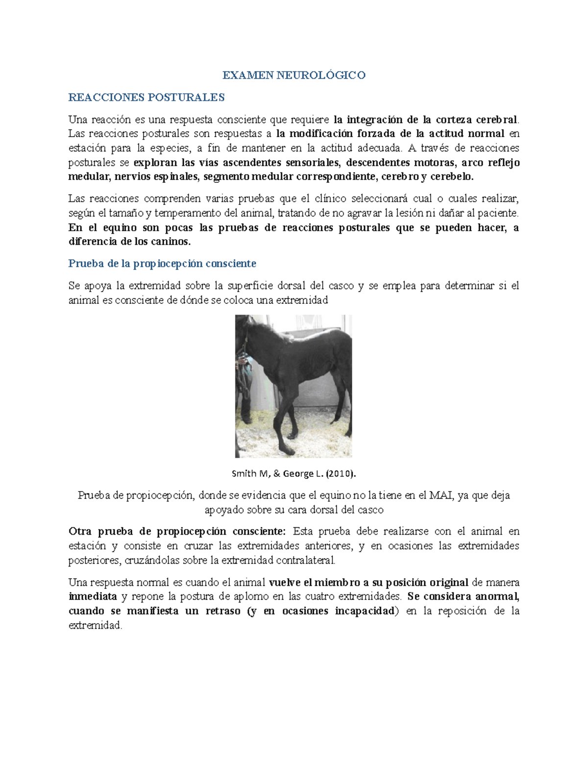 Reacciones posturales, Reflejos medulares - EXAMEN NEUROLÓGICO ...