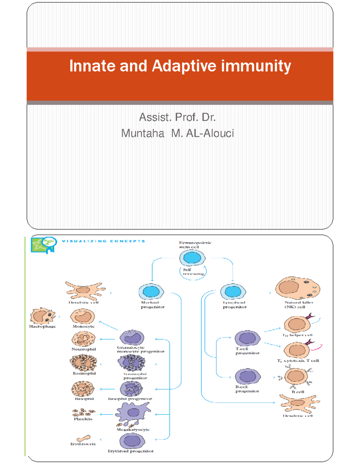 Innate and Adaptive immunity - Assist. Prof. Dr. Muntaha M. AL-Alouci ...