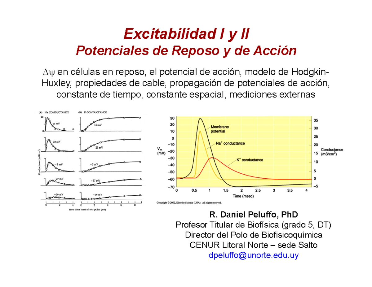 Excitabilidad de membranas II 2021 Membranas excitables, potencial de ...