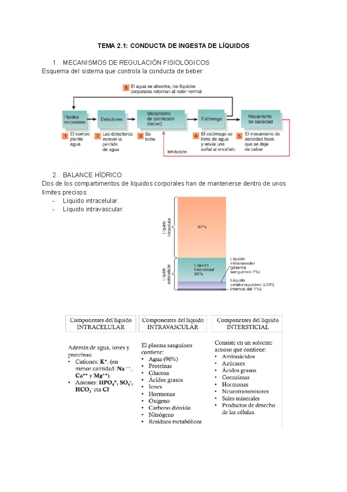 TEMA 2 Conducta DE Ingesta DE Líquidos Y Nutrientes - TEMA 2: CONDUCTA ...