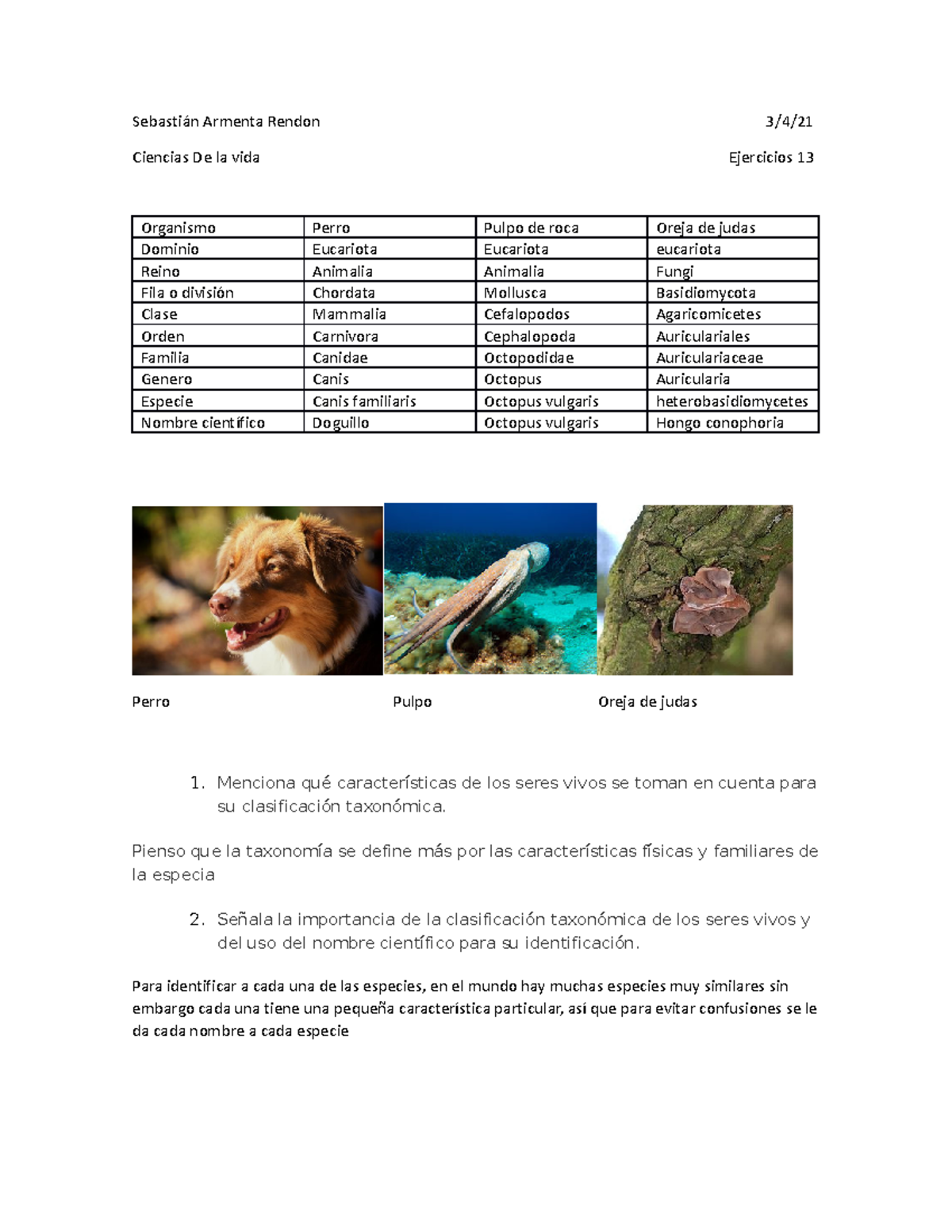 Ejercicio 13 ciencias de la vida - Sebastián Armenta Rendon 3/4 ...