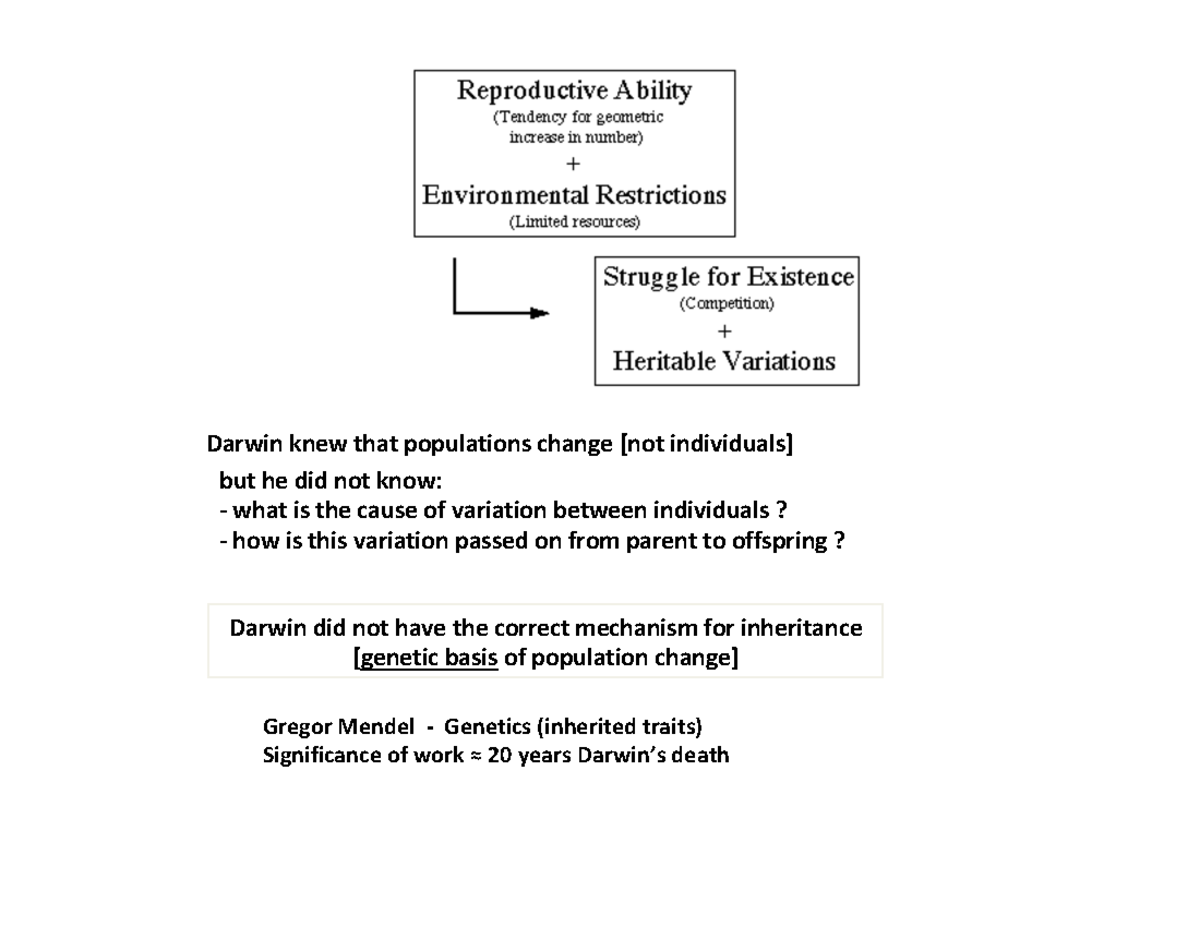Lecture Notes 17 Natural Selection And Microevolution Gregor Mendel