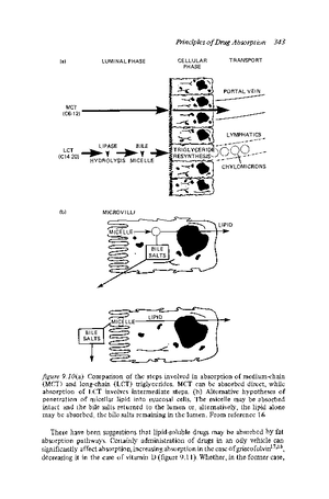 Physicochemical Principles of Pharmacy-41 - PrinciplesofDrug Absorption ...