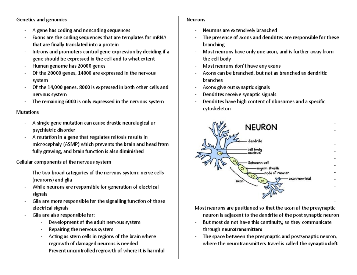 Chapter 1 - LECTURE NOTES - Genetics and genomics A gene has coding and ...