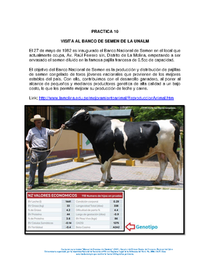 Ejercicio Taller 8de Junio - 11 06 INVER INMOBILIARIA Euracio Se pid ...