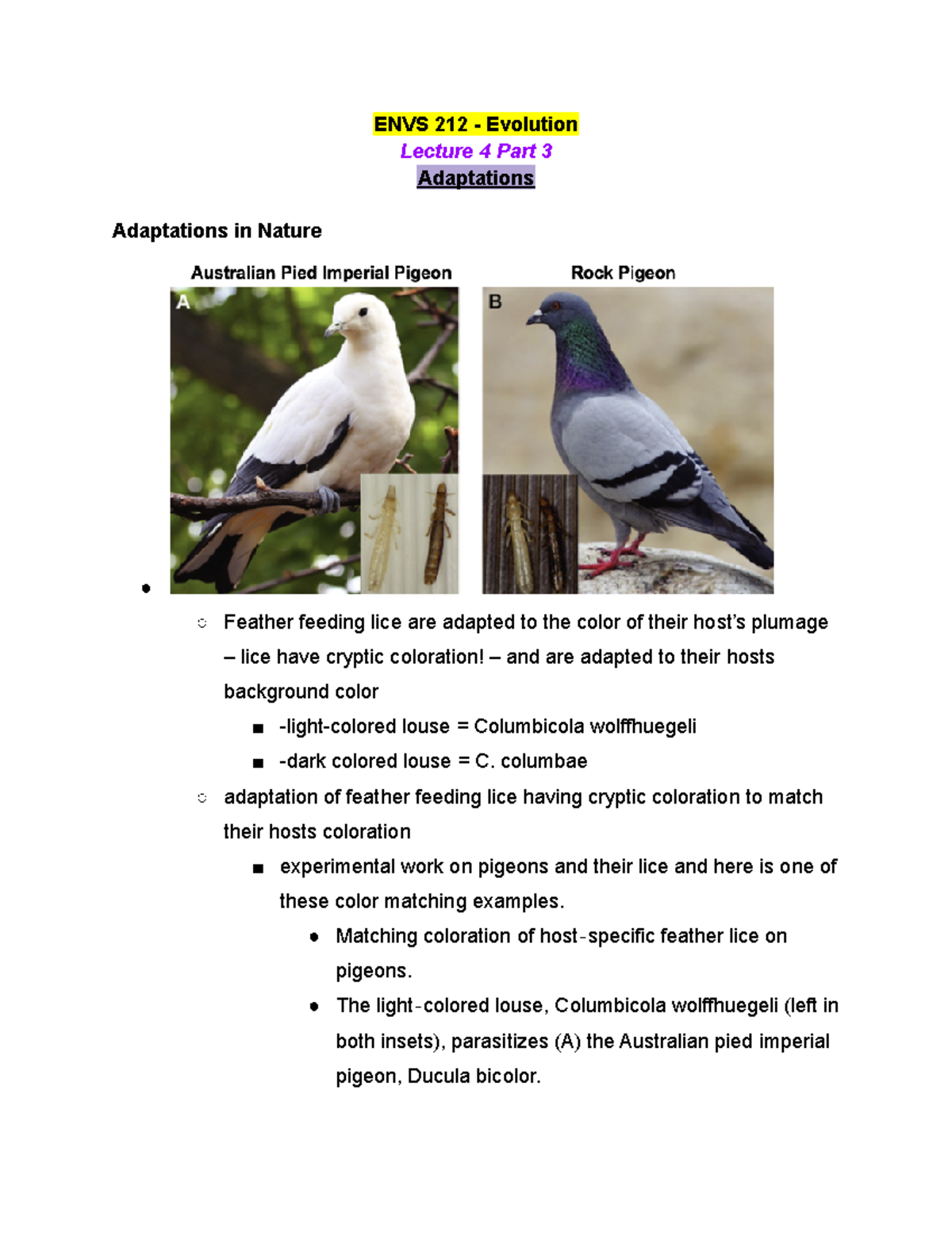 ENVS 212 Lecture 4 Part 3 - Spring 2020 - ENVS 212 - Evolution Lecture 4 Part 3 Adaptations ...