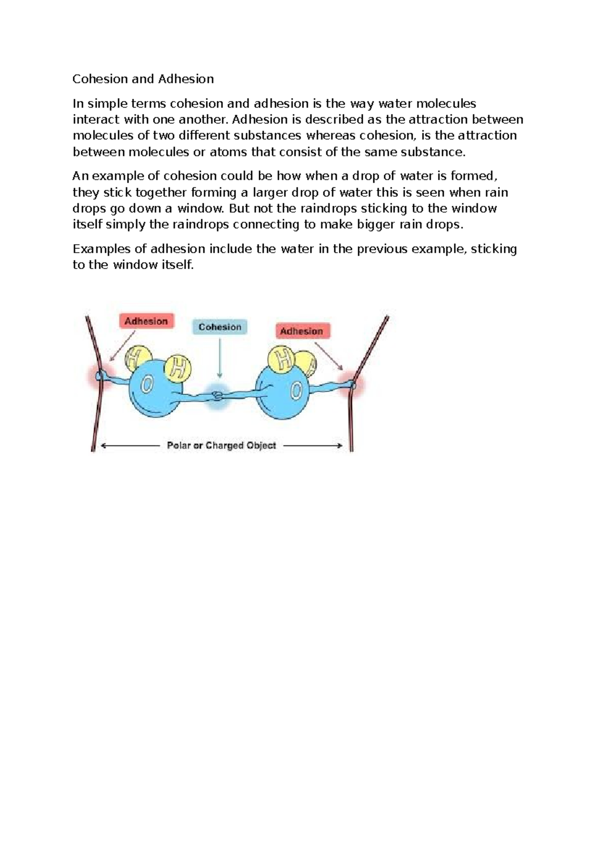 Cohesion and Adhesion - Adhesion is described as the attraction between ...