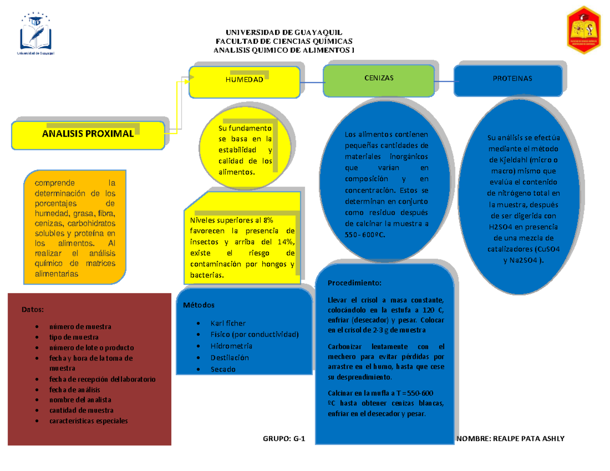 MAPA Analisis Proximal - UNIVERSIDAD DE GUAYAQUIL FACULTAD DE CIENCIAS ...