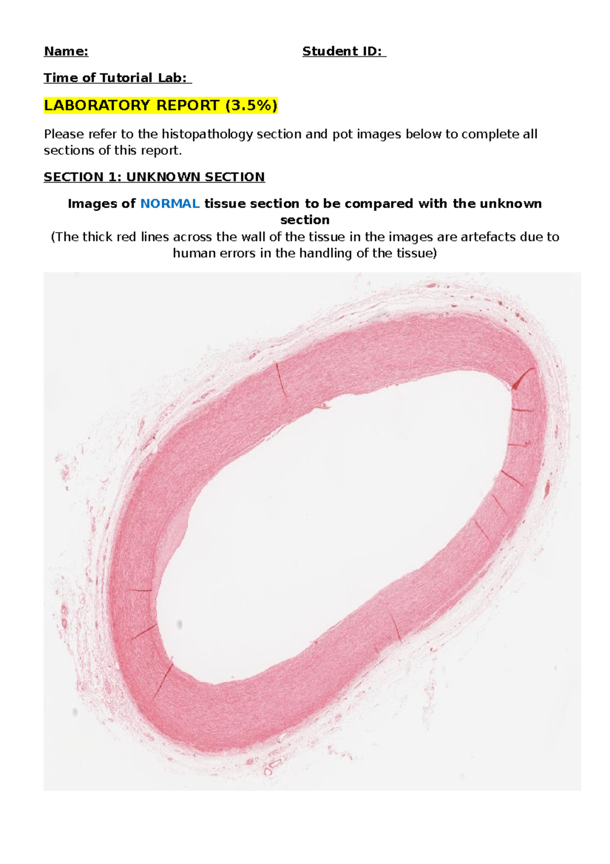 WEEK 8 - week 8 lab - Name: Student ID: Time of Tutorial Lab: LABORATORY REPORT (3%) Please ...