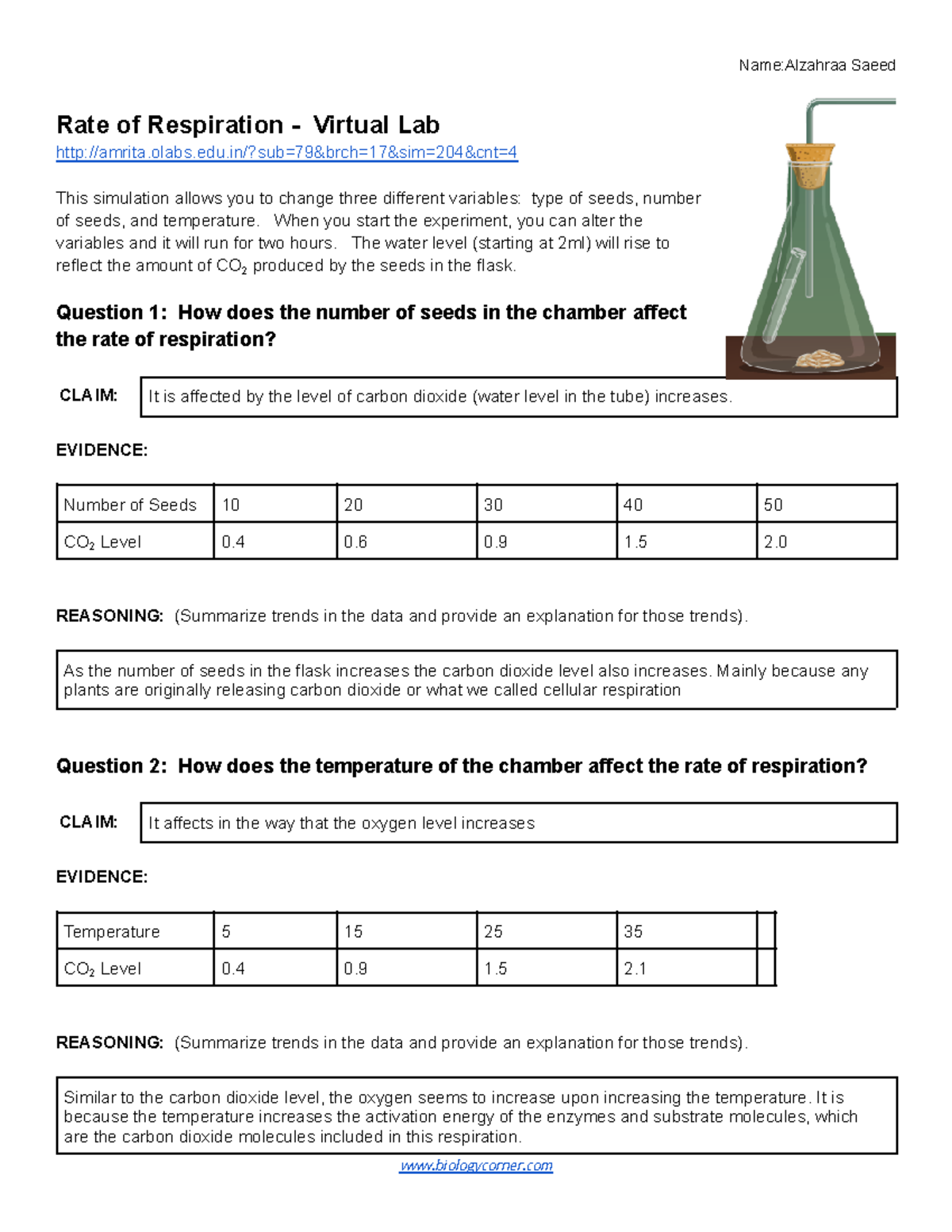 Copy Of Virtual Lab Rate Of Respiration Name Alzahraa Saeed Rate Of