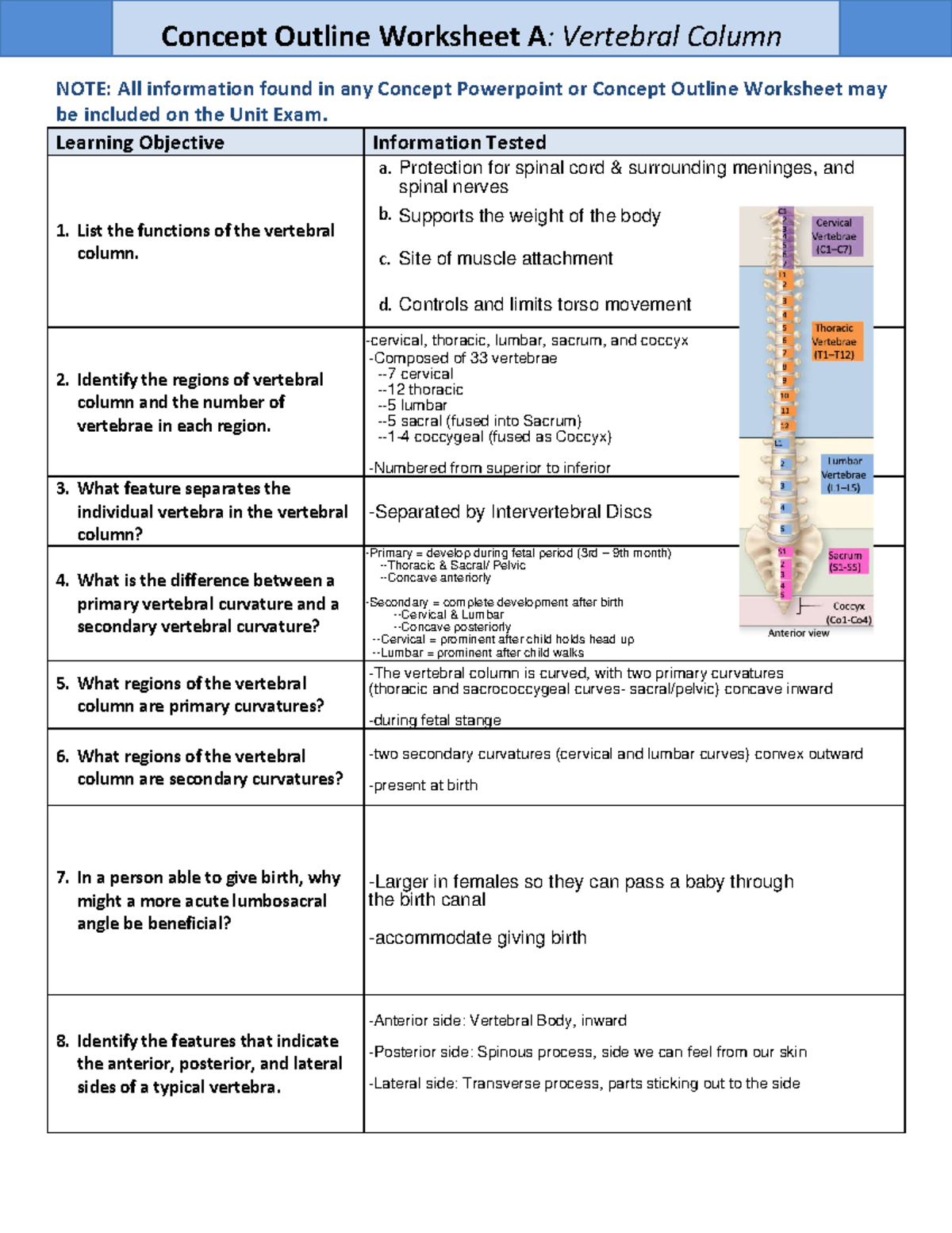 Unit 2- Concept Outline Worksheet A Vertebral Column - NOTE: All ...