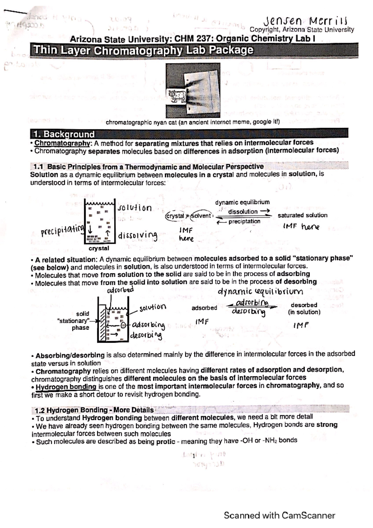 CHM 237- Lab 4 Gap Notes and Notebook - Jensen Merrill Copyright ...