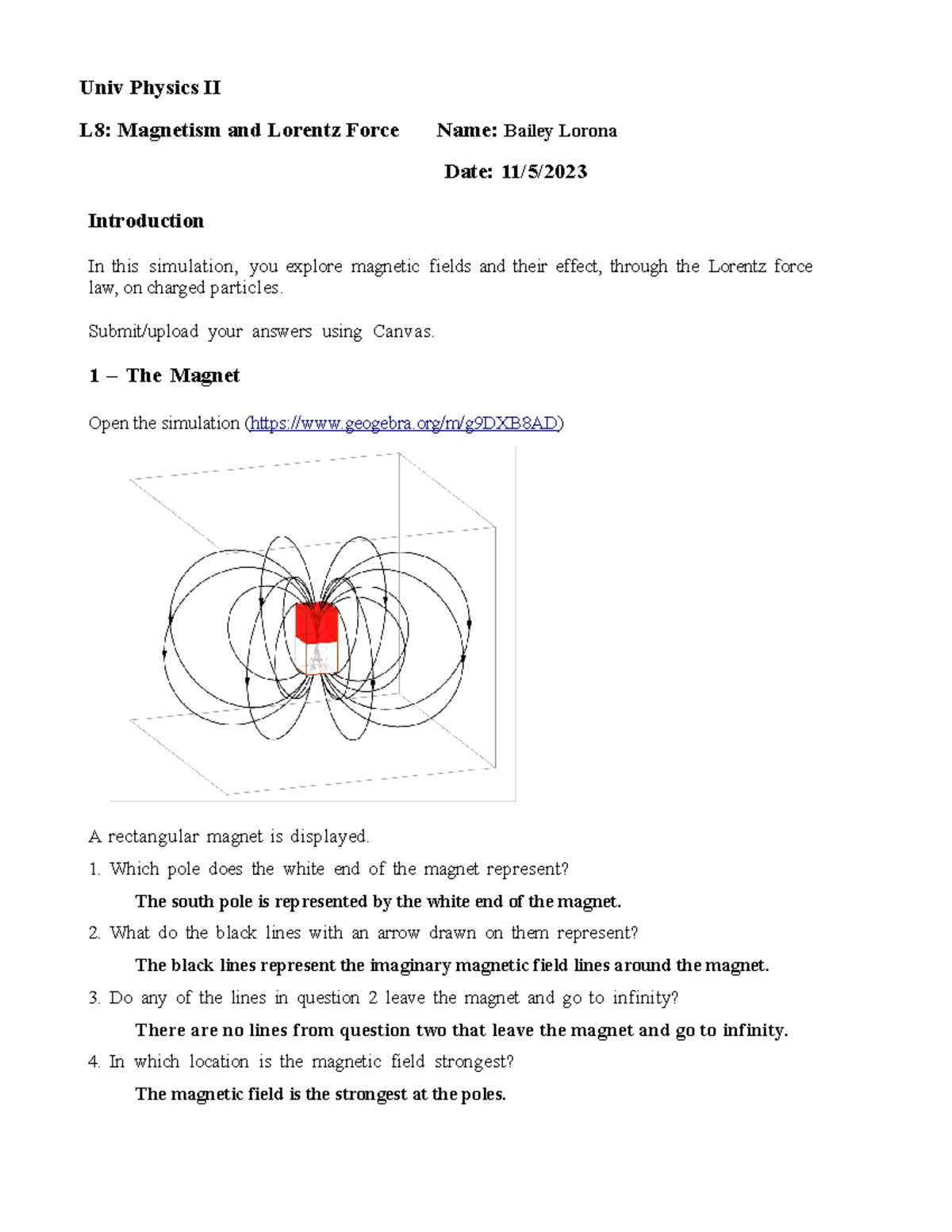 PHY131 Lab 8 Fall 2023 - Lab - Univ Physics II L8: Magnetism and ...