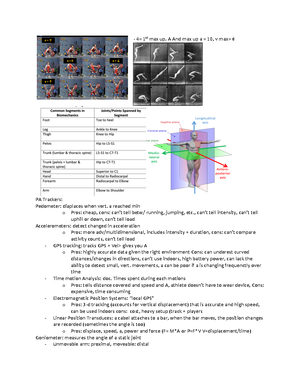Biomechanics EXAM 4 (notes) - Biomechanics Exam 4: Spine and Hip – Nov ...
