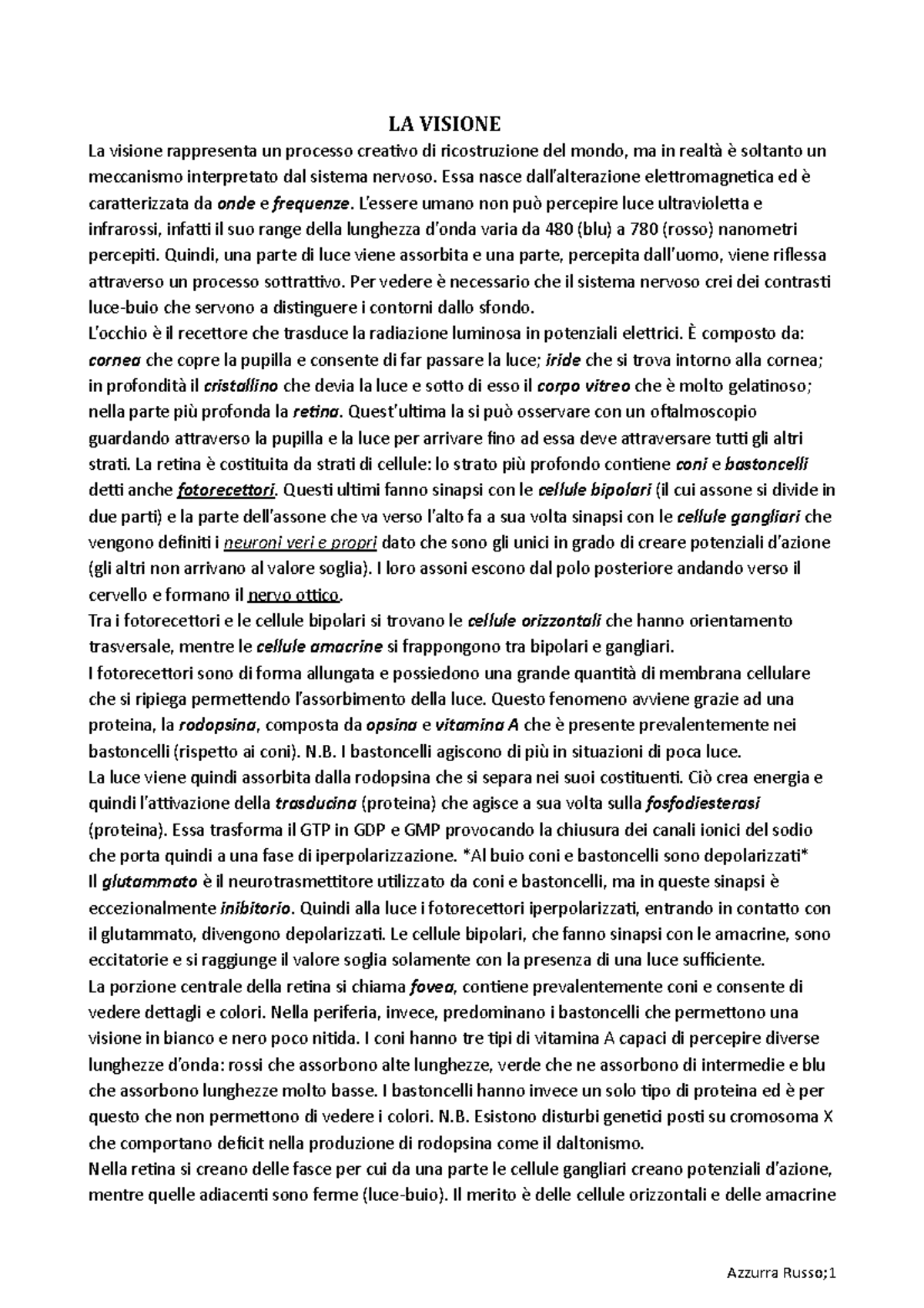 8-La visione - LA VISIONE La visione rappresenta un processo creativo ...