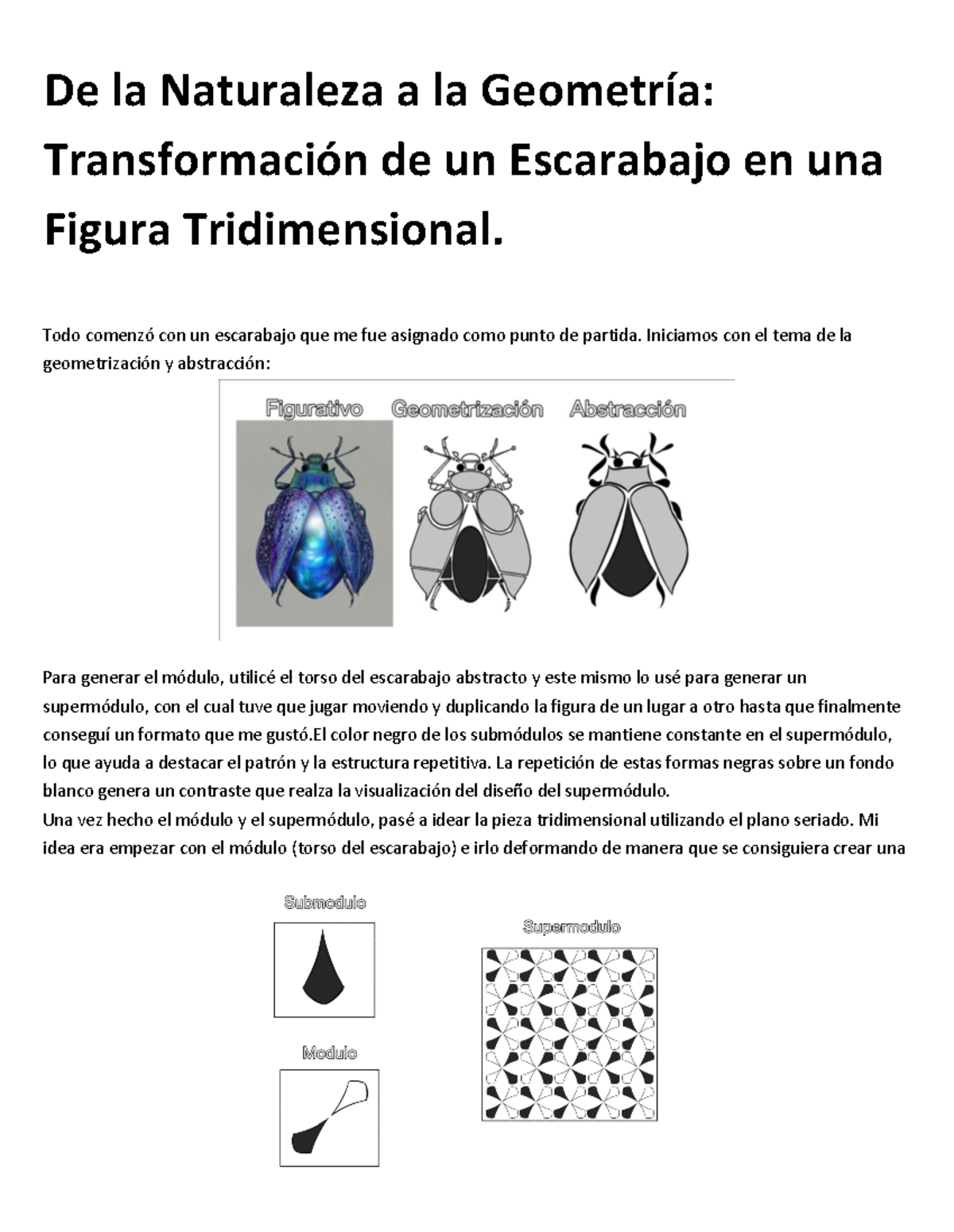 Plano seriado kevin pardo - De la Naturaleza a la Geometría ...