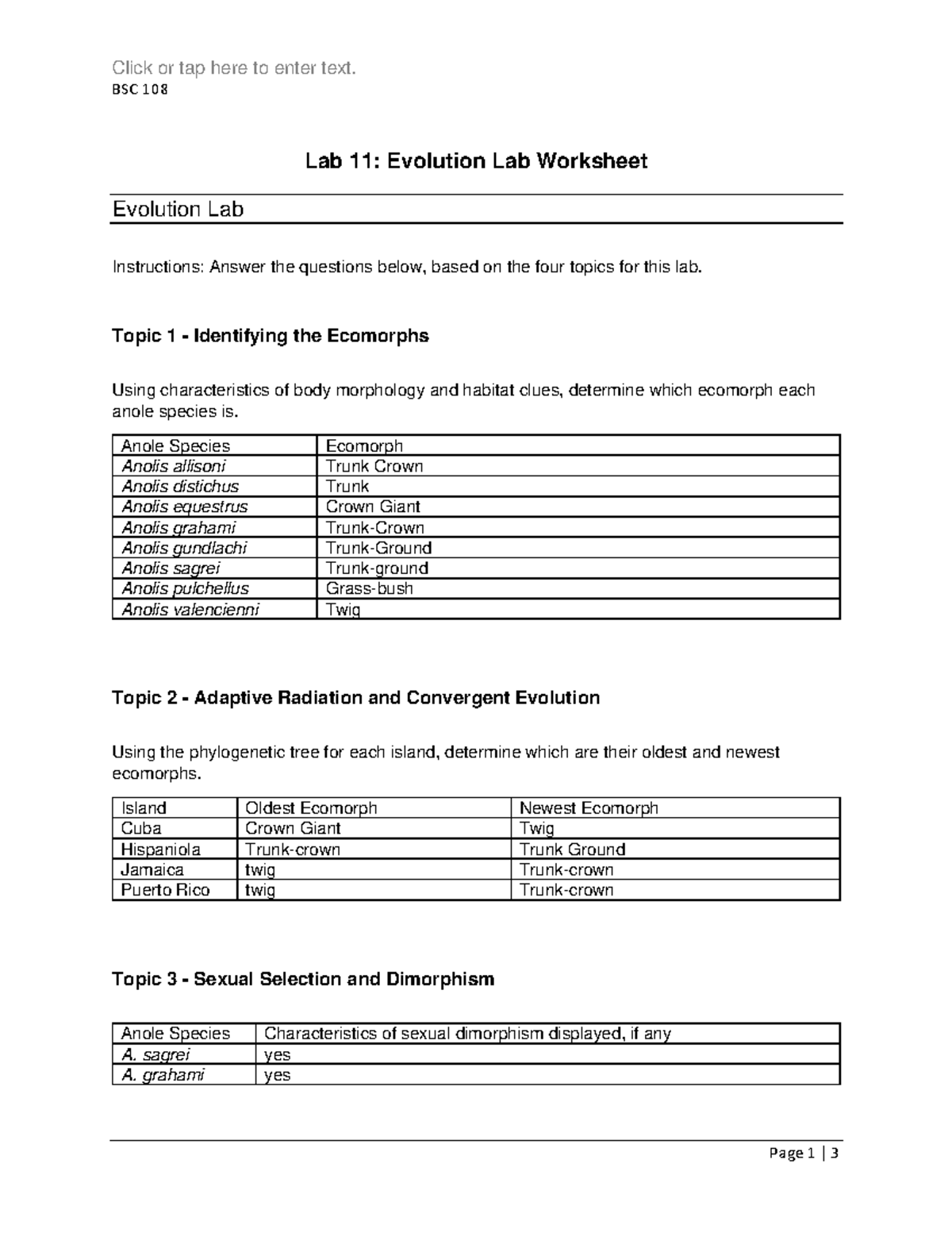 Lab 11 Evolution Worksheet - Click or tap here to enter text. BSC 108 ...