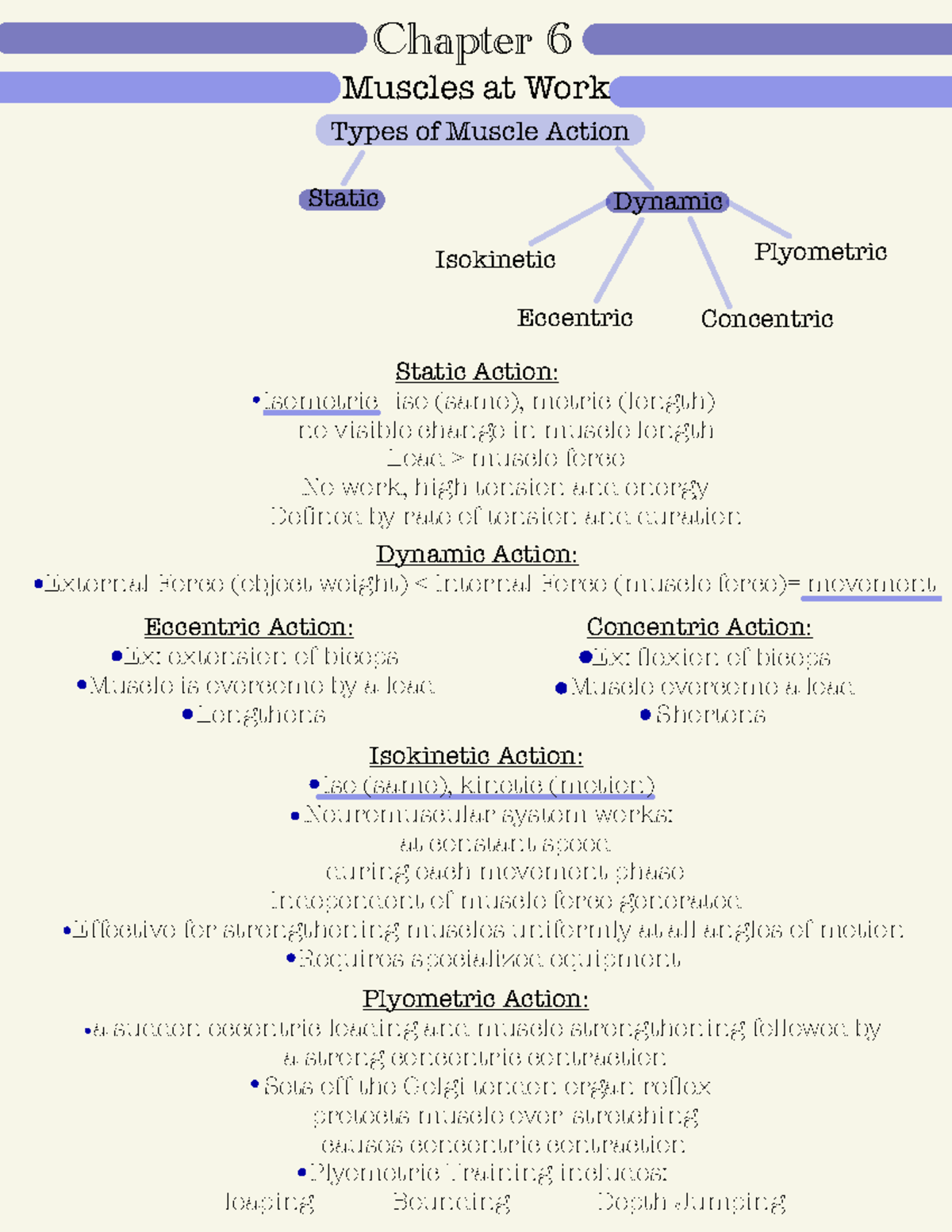 KIN 2303 Chapter Six - Chapter 6 Muscles at Work Types of Muscle Action ...