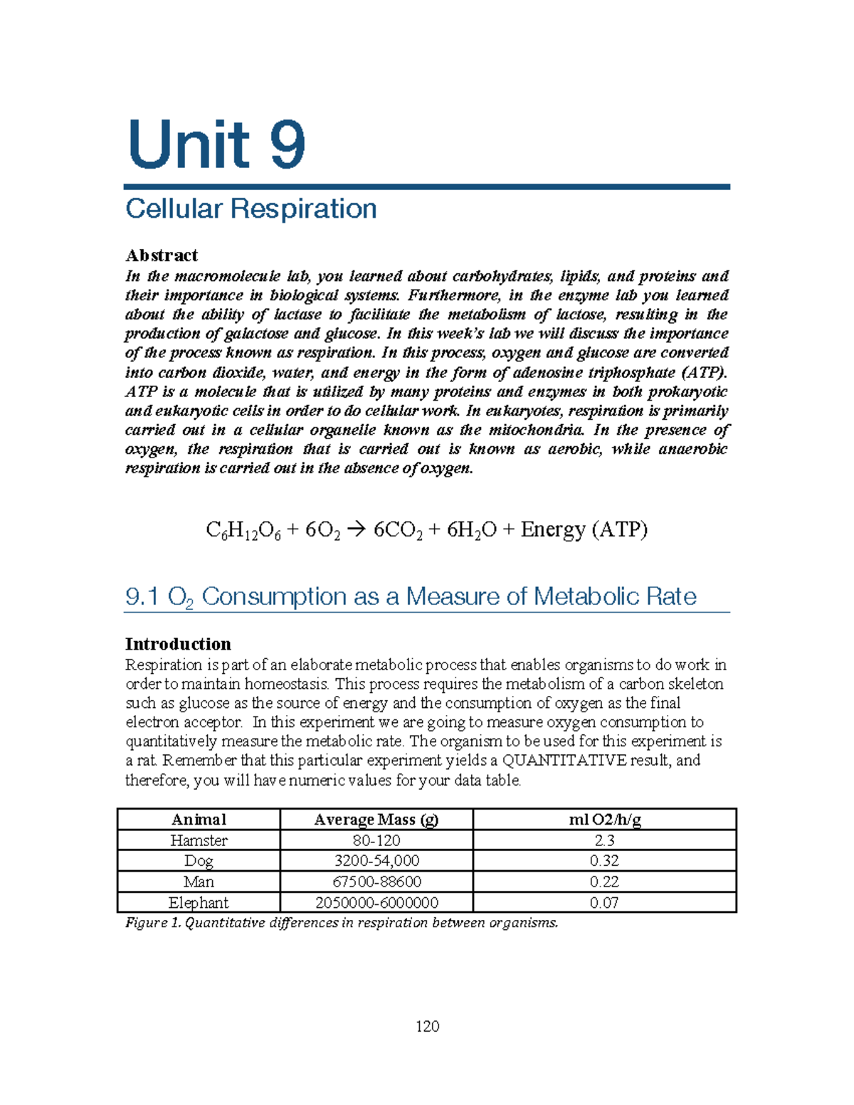 Collin College BIOL 1408 Unit 9 Cellular Respiration Packet - Unit 9 ...