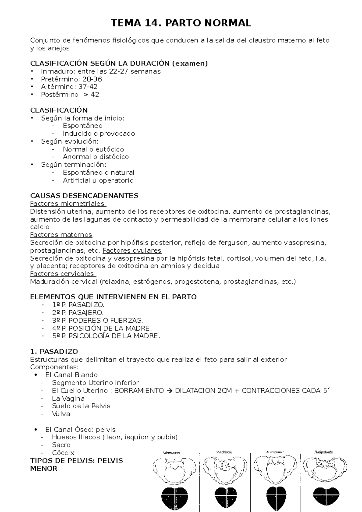 TEMA 14 - Apuntes 14 - TEMA 14. PARTO NORMAL Conjunto de fenómenos ...