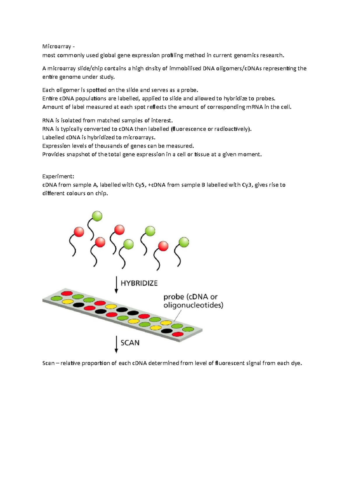 Lecture notes - Microarray - Microarray most commonly used global gene ...
