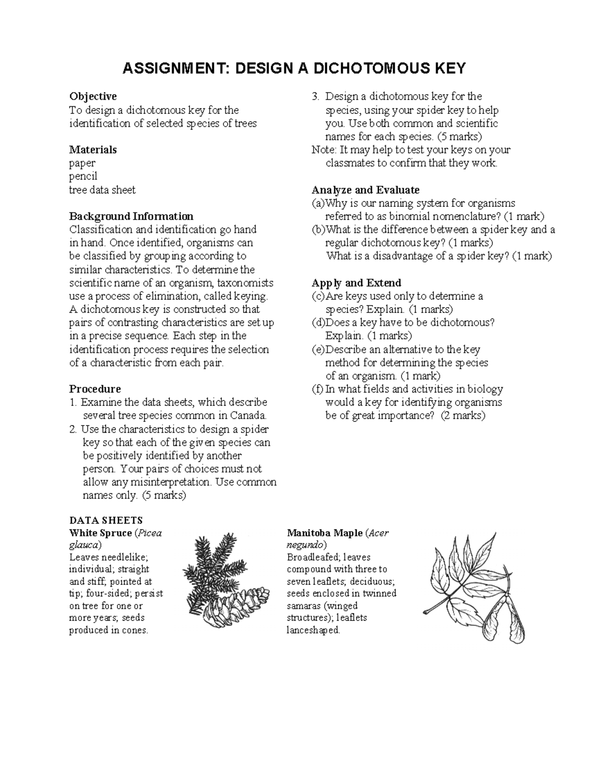 Tree Key Assignment - very nice - ASSIGNMENT: DESIGN A DICHOTOMOUS KEY ...