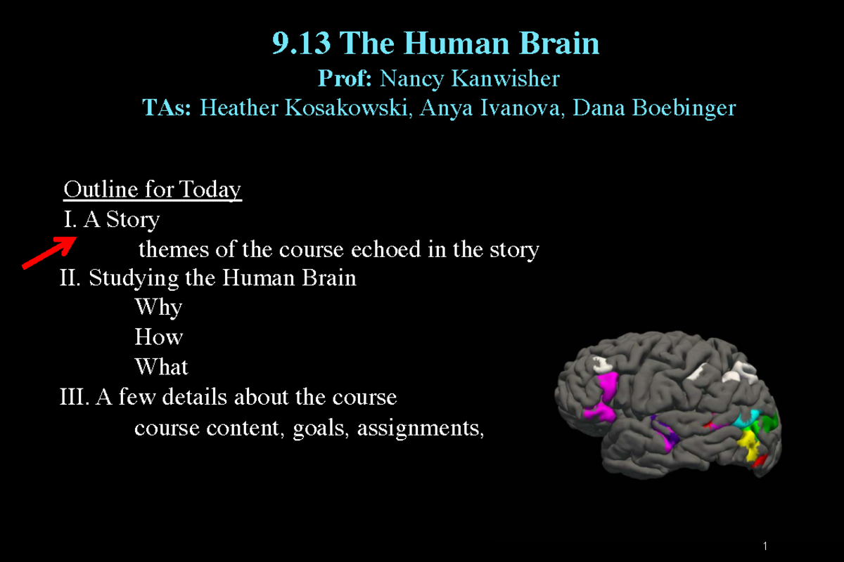 L01 - L01 - 9 The Human Brain Prof: Nancy Kanwisher TAs: Heather ...