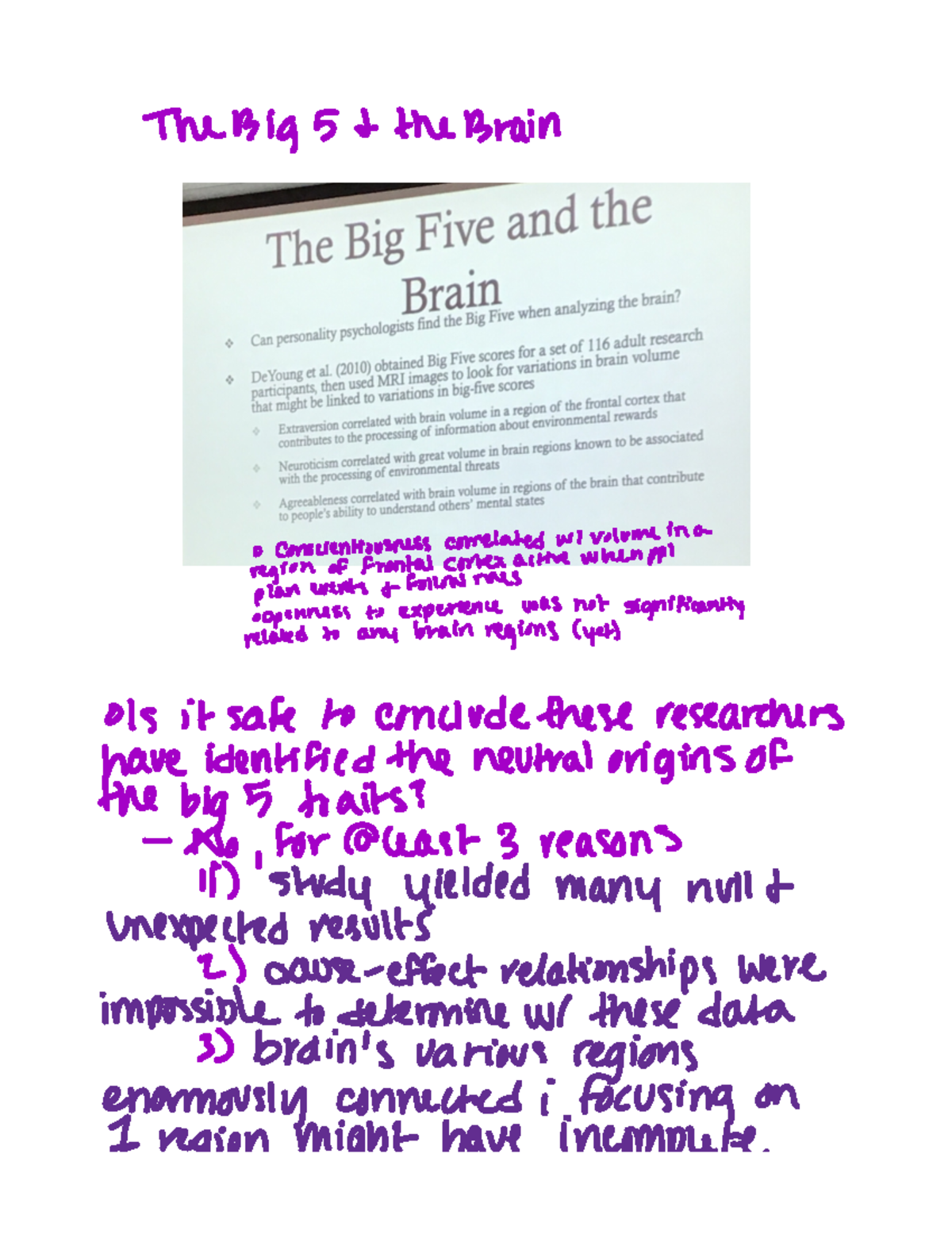 The Big 5 and The Brain - Detailed and color-coded outline of the Big 5 ...