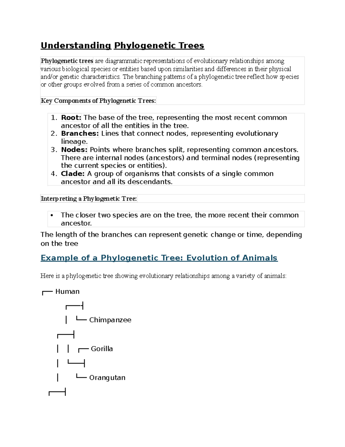 Phylogenetic tree explanation - Understanding Phylogenetic Trees ...