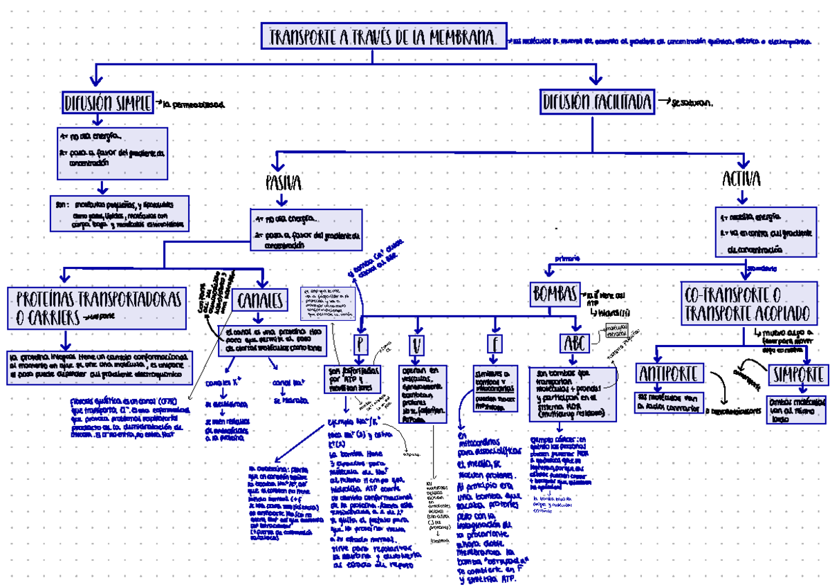 Mapa conceptual transporte membrana - Transporte a través de la ...