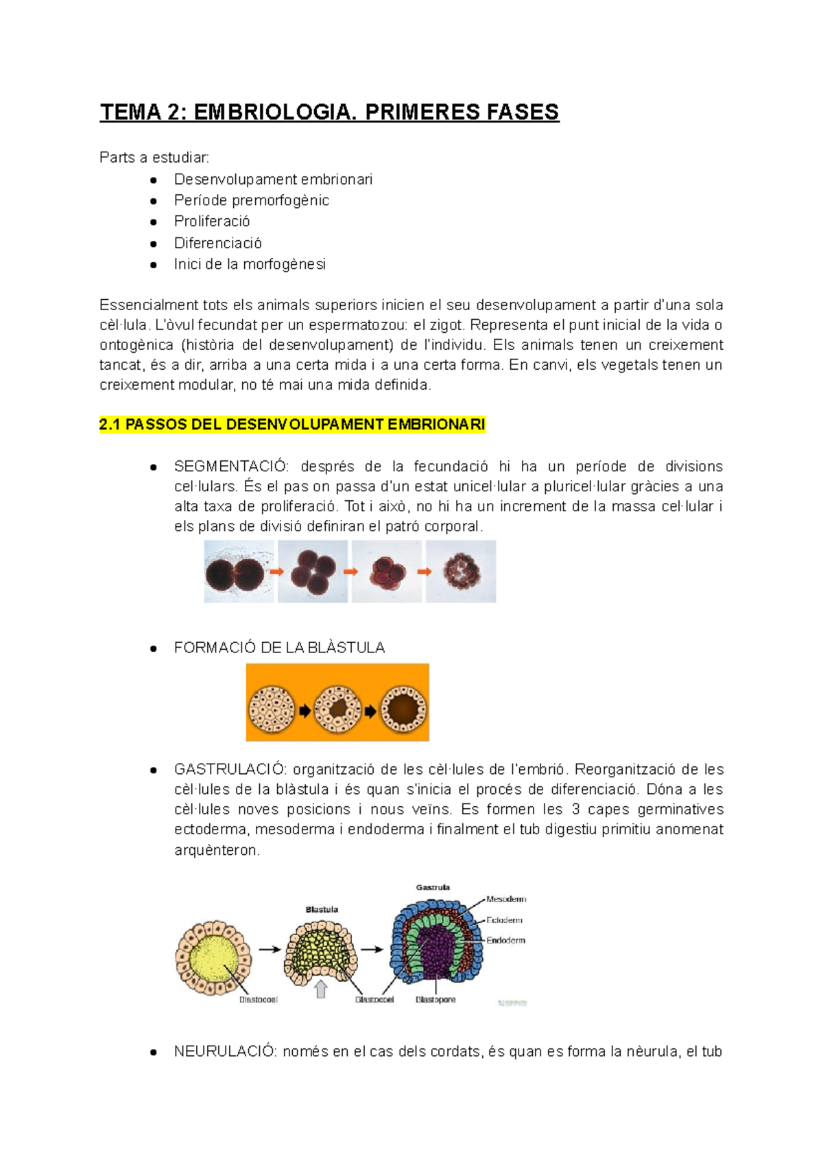 TEMA 2 Embriologia I LES Primeres Fases - Microbiologia - UdG - Studocu
