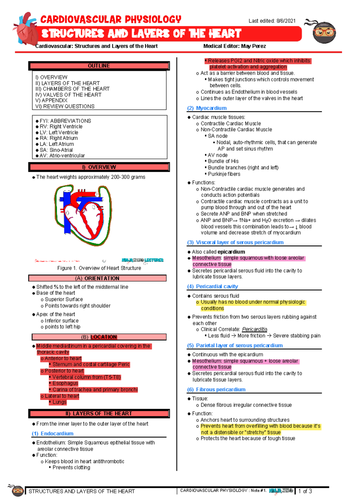 003 Cardiovascular Physiology Structures and Layers of the Heart 001 ...