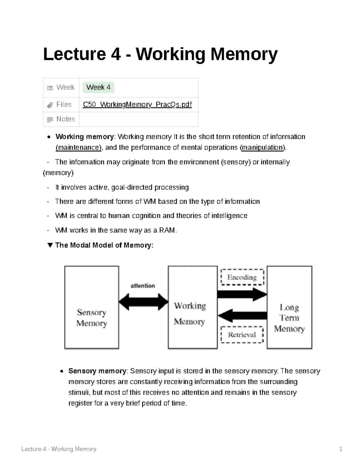 Lecture 4 - Working Memory - Lecture 4 - Working Memory Week Week 4 ...