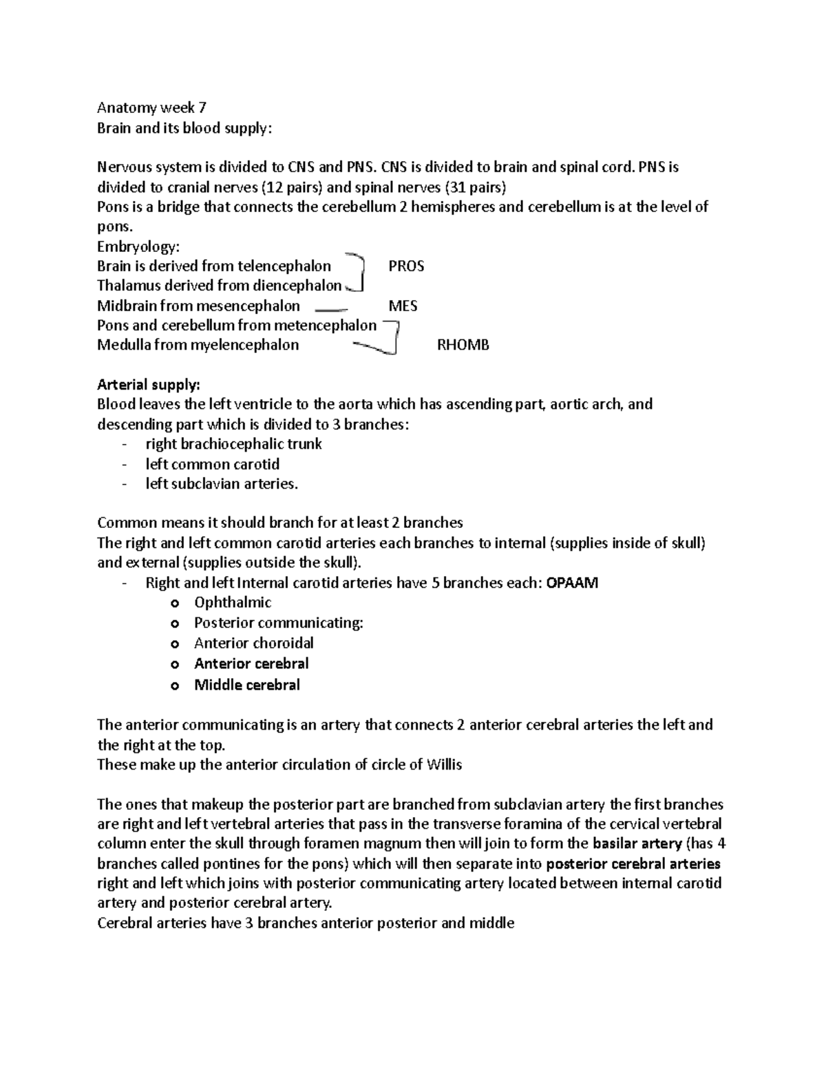 Anatomy week 7-circle of willis - Anatomy week 7 Brain and its blood ...