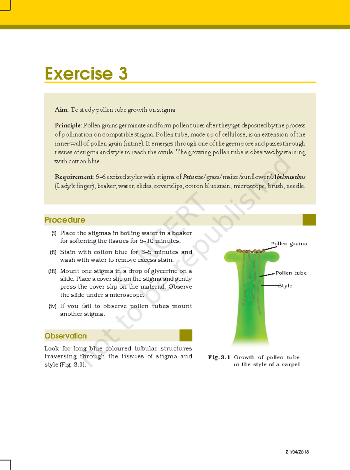 Exercise 3 - - Studocu