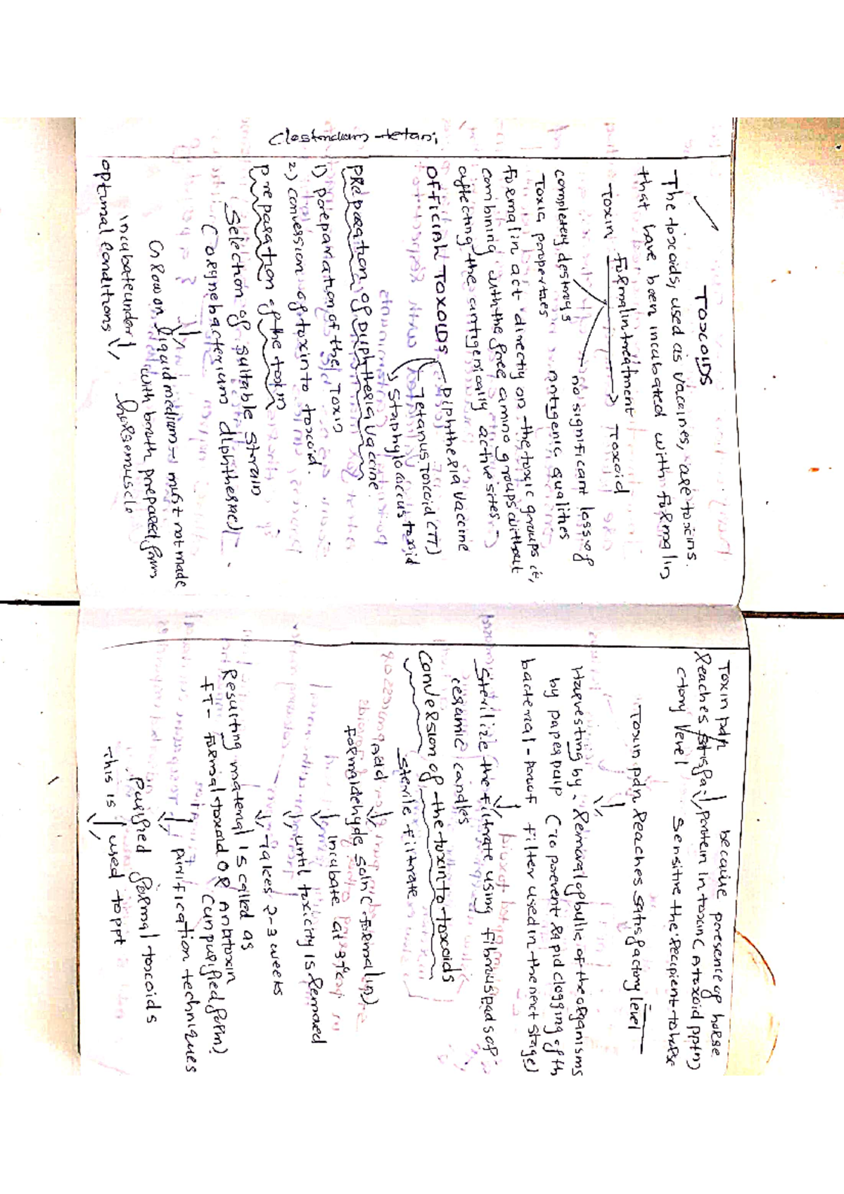 Vaccines-1 - vaccines notes bpharm 6th semester biotechnology - Toxin ...