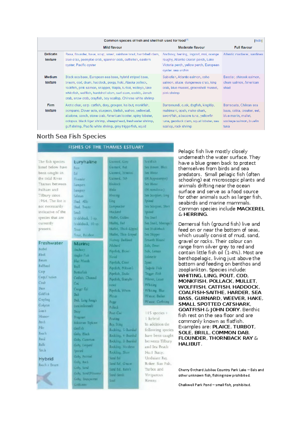 Fishing - North Sea Fish Species Pelagic fish live mostly closely ...