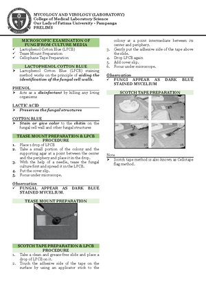 WEEK-17- Cytochemistry - CYTOCHEMISTRY (WEEK 17; FINALS) 2nd SEM, 2022 ...